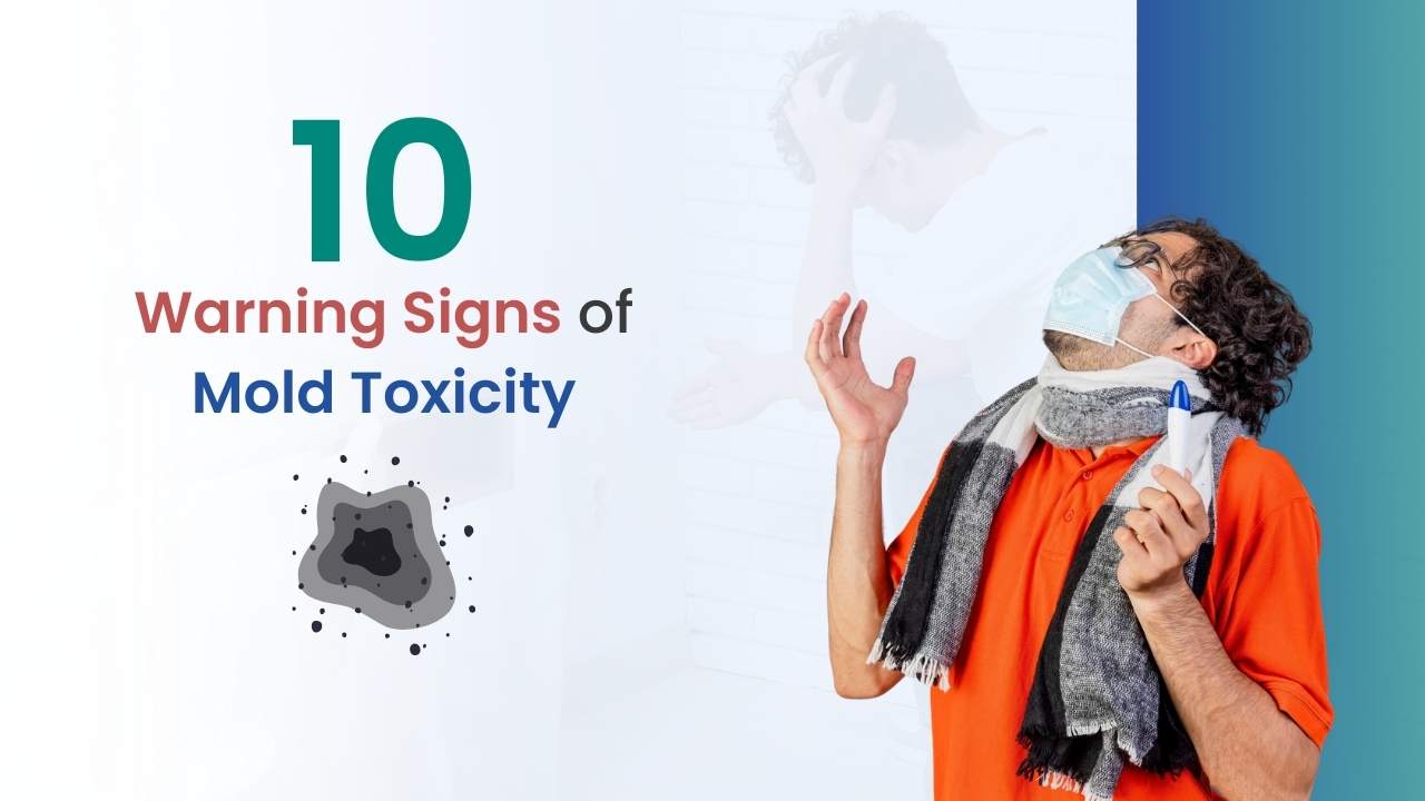 10 Warning Signs of Mold Toxicity | You Should Not Ignore
